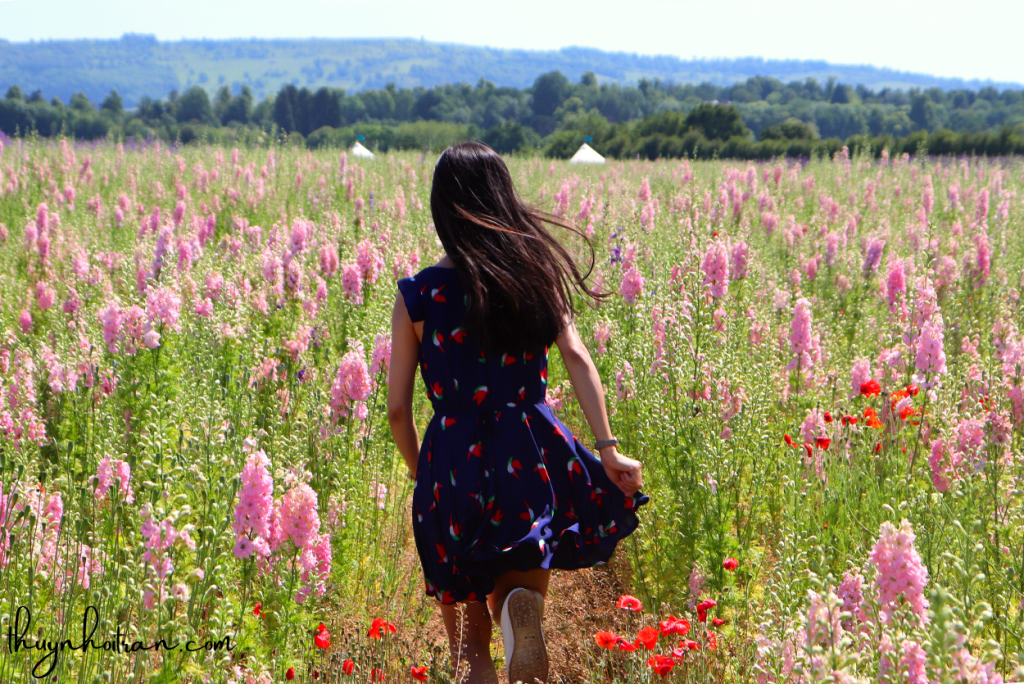 The Best Confetti Field in the UK - Travel - Thuynhoi Tran's Blog
